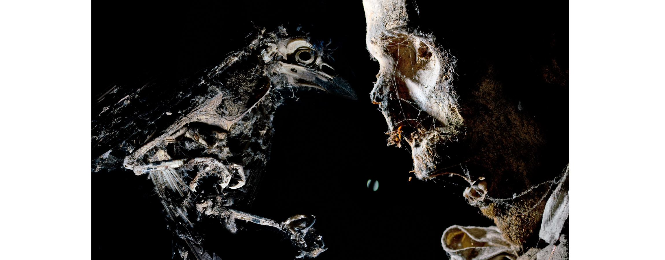 Ian Wilkinson | Goldmark Atelier